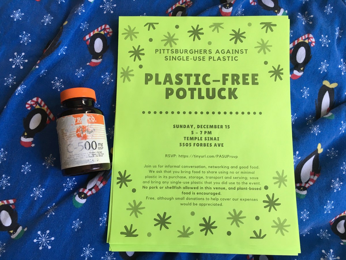 Single-use Plastic, Twenty Years Later | The Earthling's Handbook